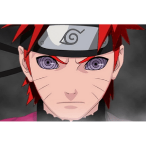 【全眼】輪廻眼【ナルト】 – SFX-EYES